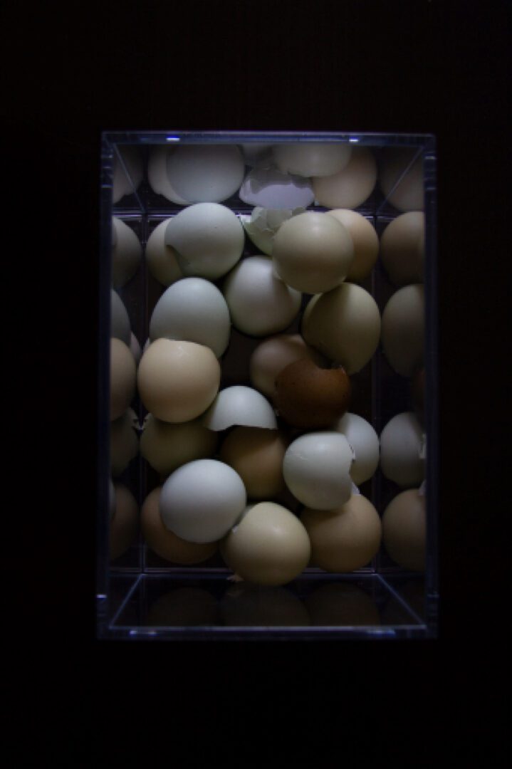 The Materiality of Isolation - Tatter