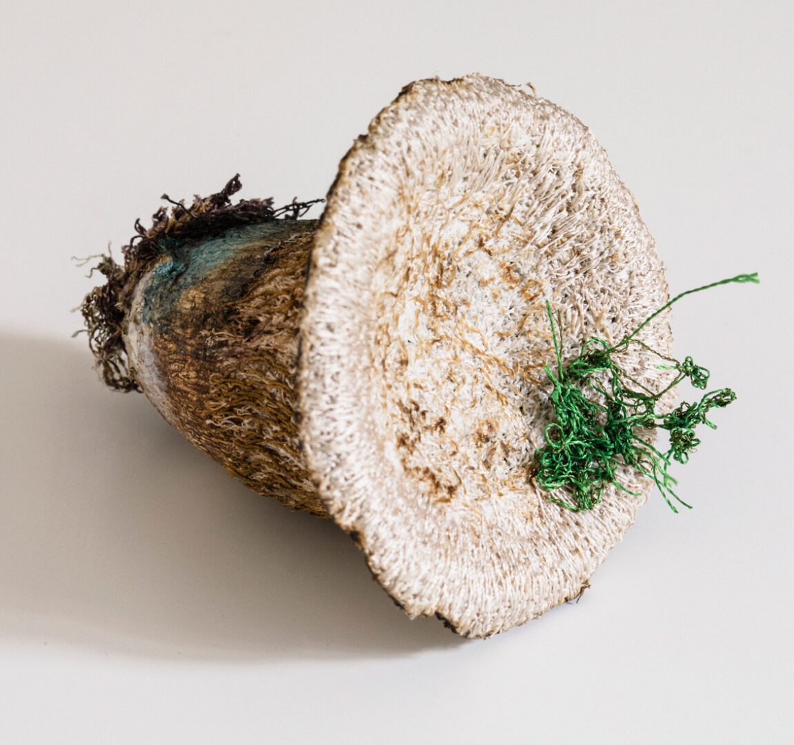 A Threaded Woodland - Tatter