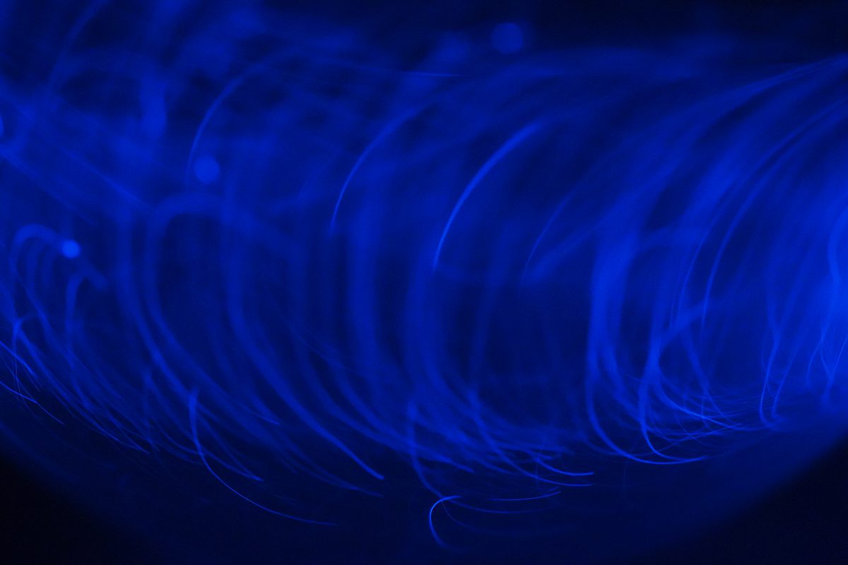 A Blue of Bioluminescence - Tatter