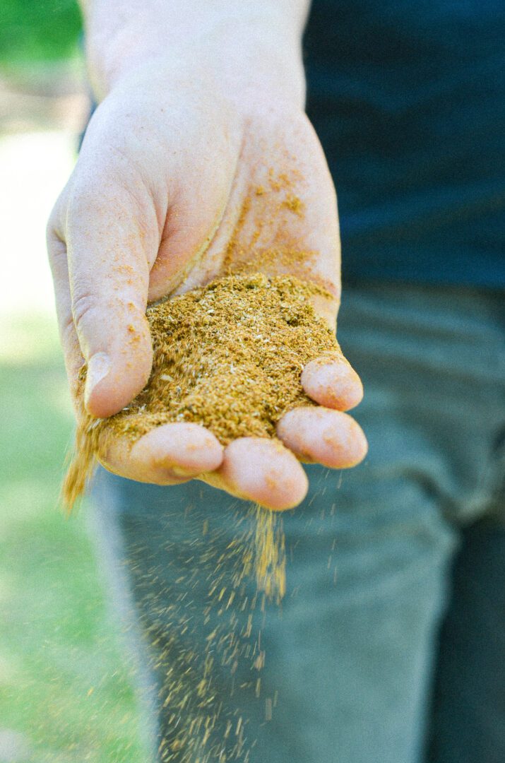 Aaron Sanders Head & Whole Cloth Quilting - Tatter