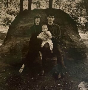 The Green Lady in the Blue Library - Tatter