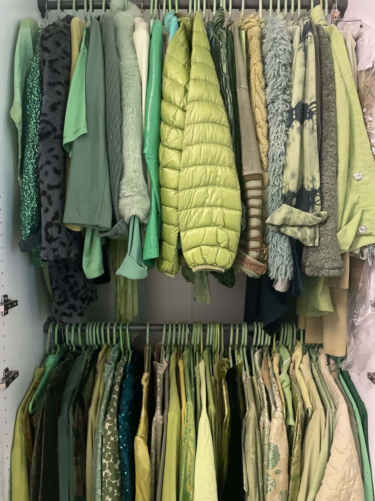 The Green Lady in the Blue Library - Tatter