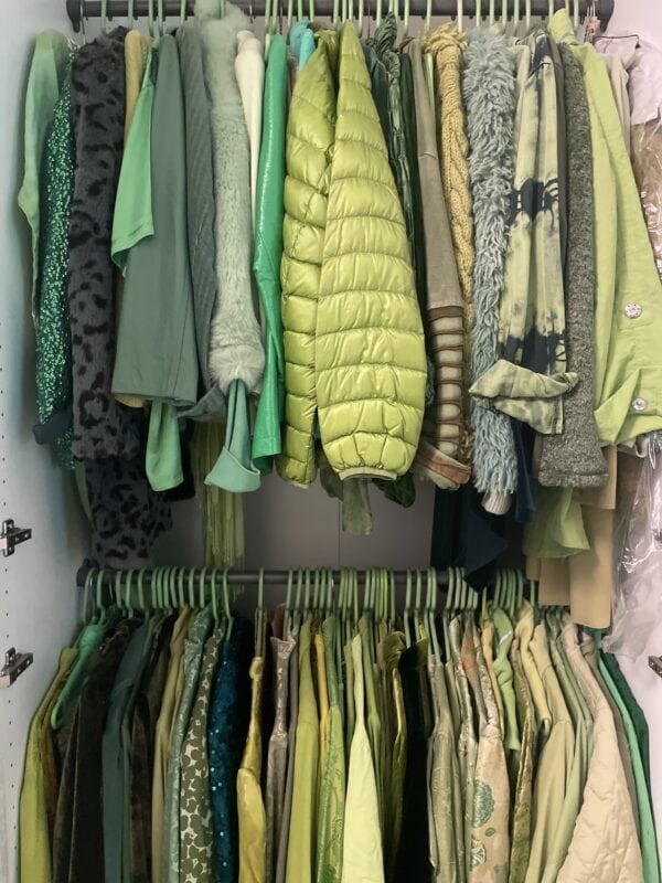 The Green Lady in the Blue Library - Tatter