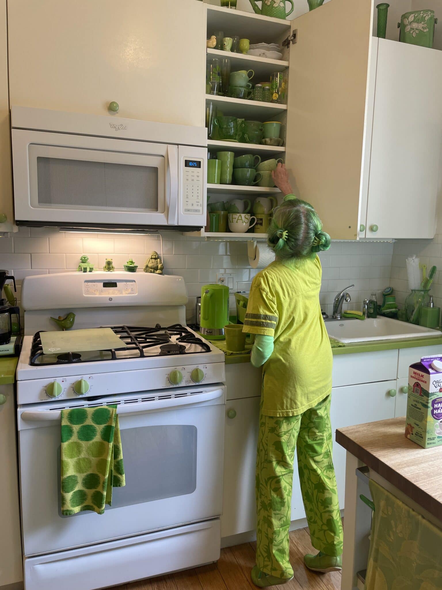 The Green Lady in the Blue Library - Tatter